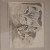 C.bennett - Drawings & Illustration