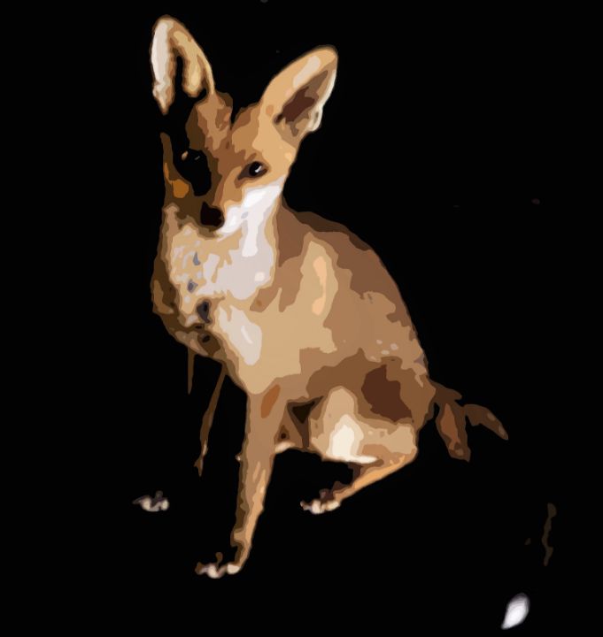 Vivacious Vixen - Vickie Fiveash - Digital Art & AI, Animals, Birds ...