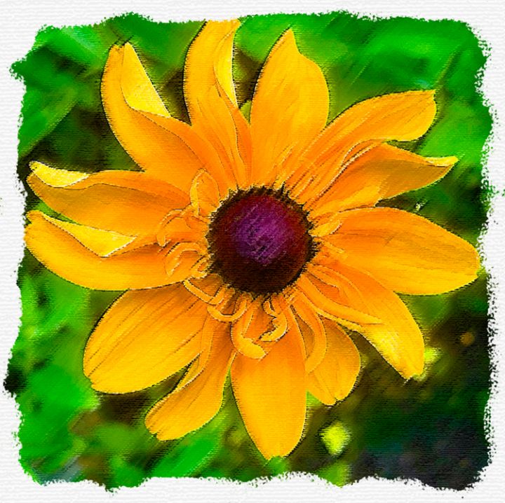 Daisy Closeup Art - Pixel Dreaming - Photography, Flowers, Plants ...