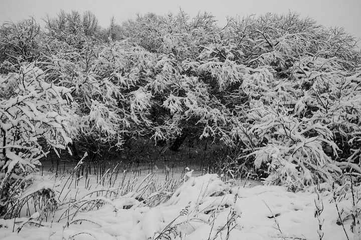 first snow - Kotolmachoff - Photography, Landscapes & Nature, Seasons ...
