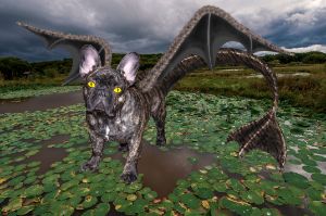 Franch Dragon in city - Kotolmachoff - Drawings & Illustration, Animals ...