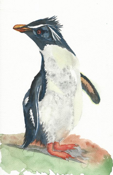 Rockhopper penguin - REV Originals - Paintings & Prints, Animals, Birds ...