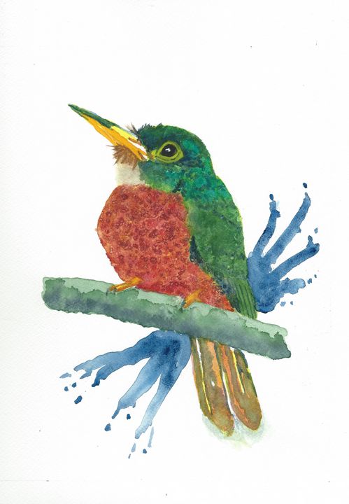 Yellow-billed jacamar - REV Originals - Paintings & Prints, Animals ...