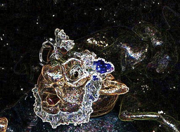 Bespectacled Wizard Neon - Anton's Originals - Photography, Fantasy ...