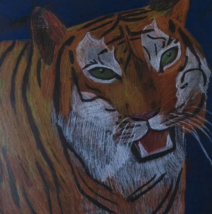 TORRENT TIGER - PAULA REILLY - Drawings & Illustration, Animals, Birds ...