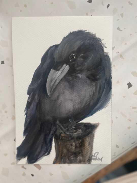 Not so Common Raven - Nature Art by Lindsey - Paintings & Prints ...