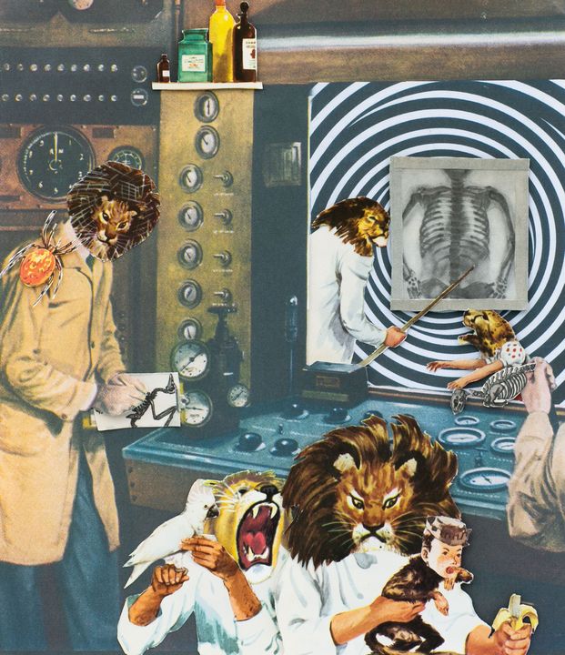 The Lab In The Lions Den - Justin Kipp Art - Paintings & Prints ...