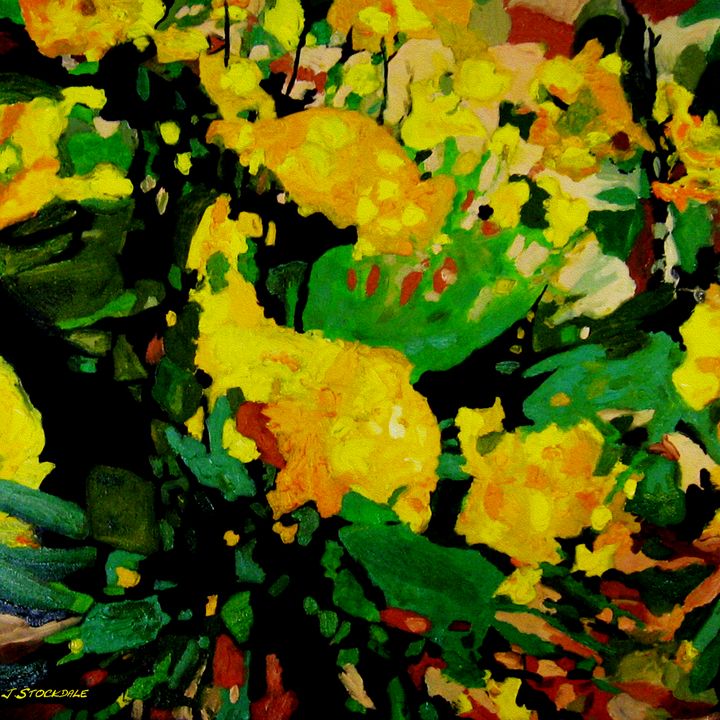 Common pop-flower- Texture - Stocksom Art Prints - Paintings & Prints ...