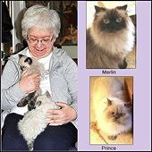 Patricia Ann Rizzo - Jewelry, Paintings & Prints