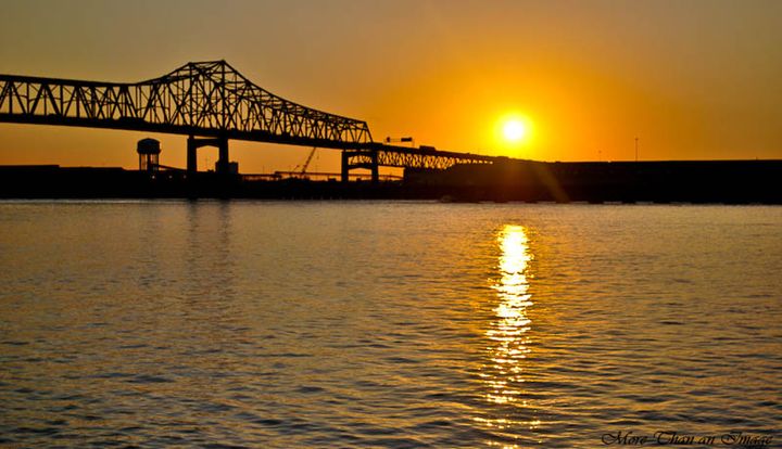 Still Life/ Landscape - Photography