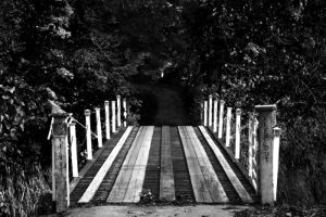 ARO PHOTO - Photography