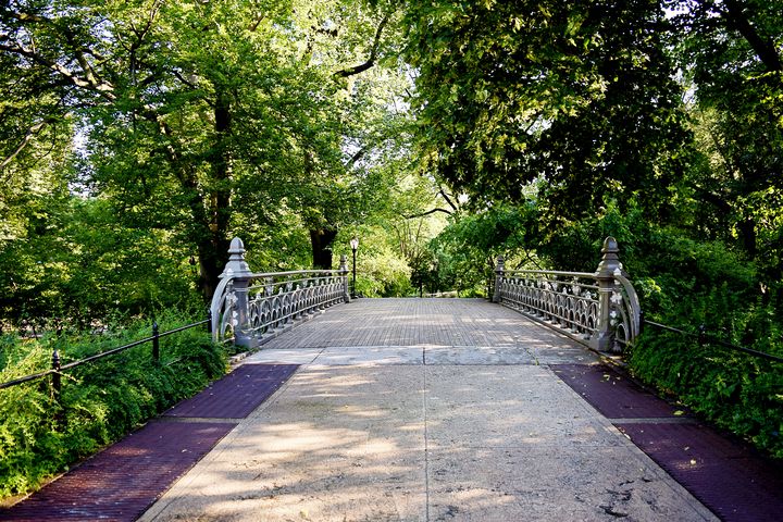 Moving Forward - Creative Gallery - Photography, Landscapes & Nature ...