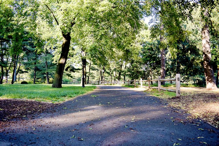 Moving Forward - Creative Gallery - Photography, Landscapes & Nature ...