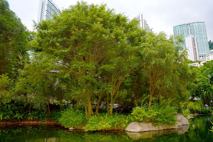 Nature Bliss 01 - Creative Gallery - Photography, Landscapes & Nature ...