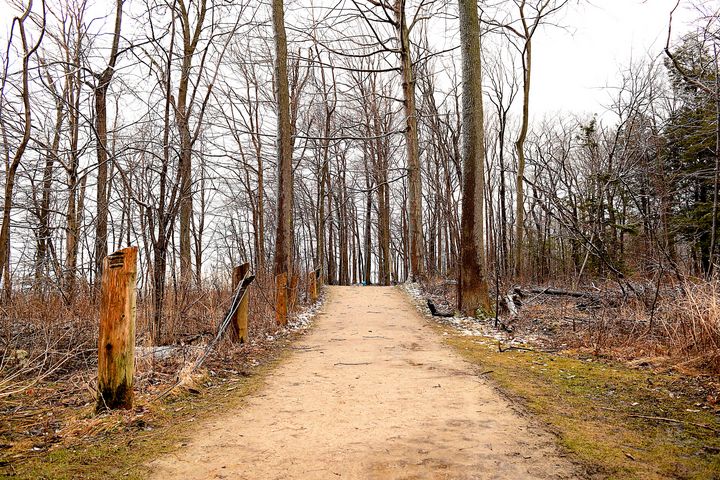 Straight Trail - Creative Gallery - Photography, Landscapes & Nature ...