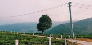 Nihilism - Photography