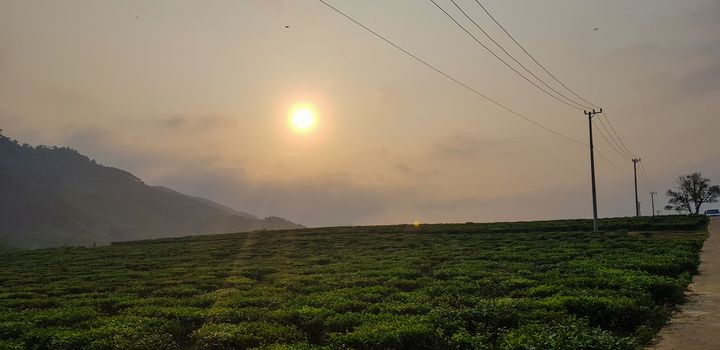 Nihilism - Photography