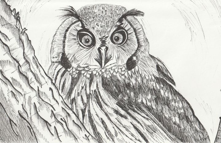 Eyes of an Owl - Tanvi Gupta John - Drawings & Illustration, Animals ...