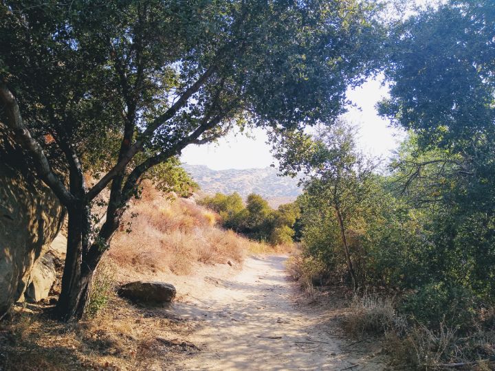 The Path - Art Dreamer - Photography, Landscapes & Nature, Paths ...