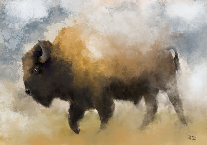 Robb Rokk - Paintings & Prints