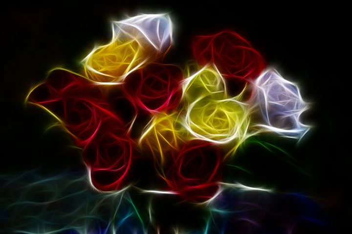 Colored Roses - Jus4fundesigns - Photography, Flowers, Plants, & Trees ...