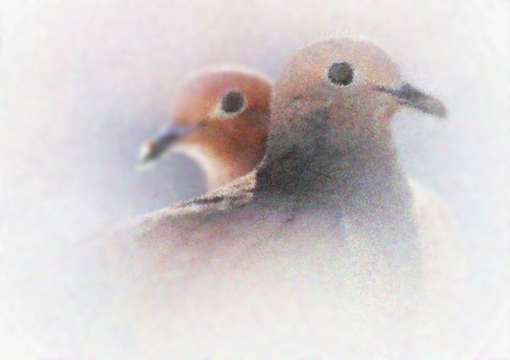 Two Doves - Mike-e-Art - Digital Art, Animals, Birds, & Fish, Birds ...
