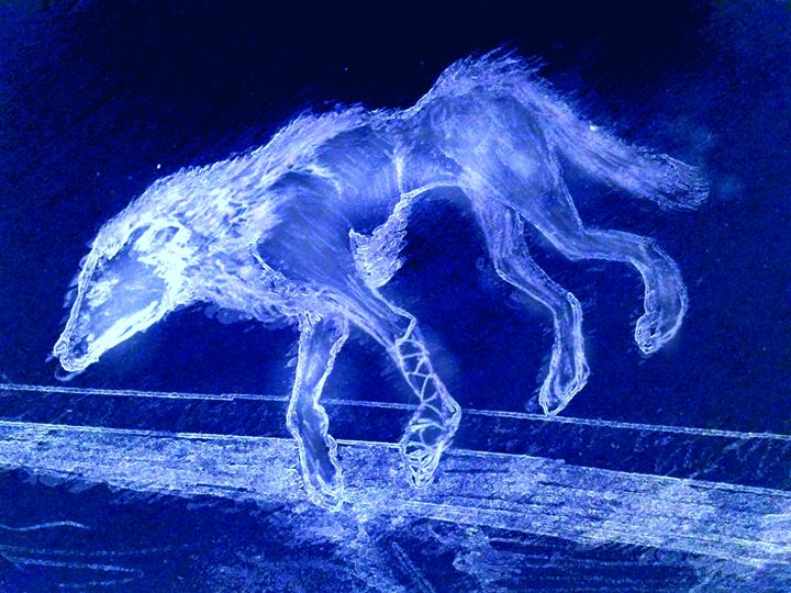 Three Legs Good - Tharek Ali Mokbul - Drawings & Illustration, Animals ...