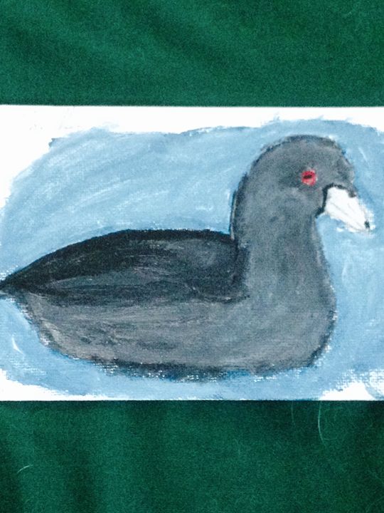American Coot - Flora and Fauna - Paintings & Prints, Animals, Birds ...