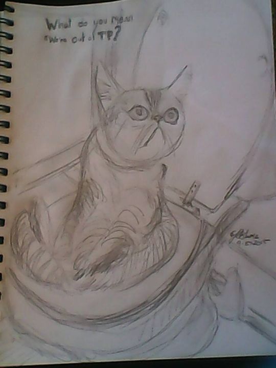 cat on toilet - BlueJayArt - Drawings & Illustration, Animals, Birds ...