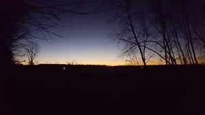 INSTINCT - Photography