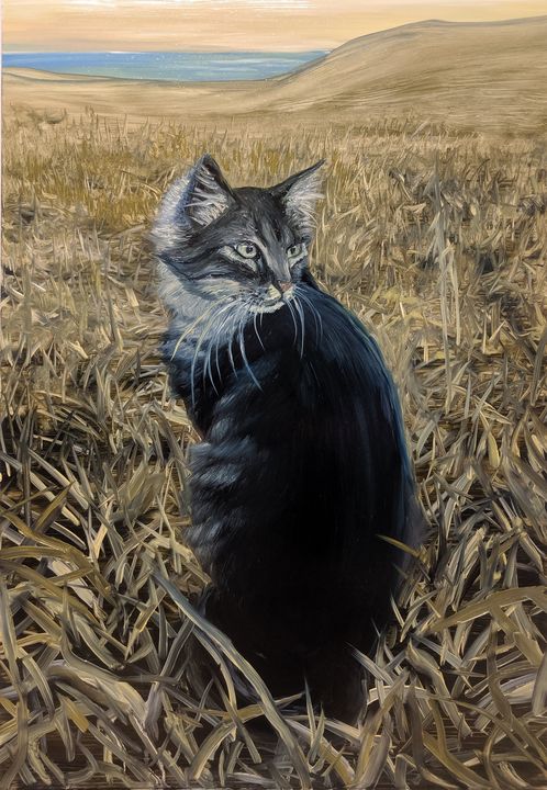 Lagos Cat - Jessica Fleming Art - Paintings & Prints, Animals, Birds ...