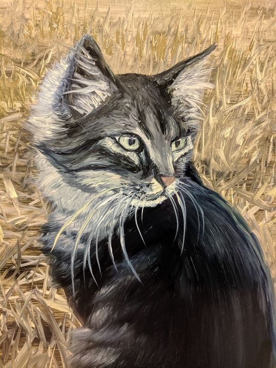 Lagos Cat close-up - Jessica Fleming Art - Paintings & Prints, Animals ...