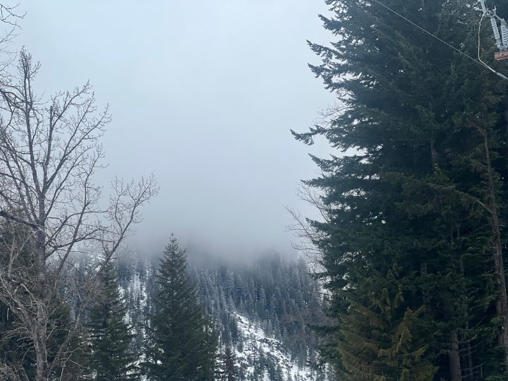 Anggera - Photography