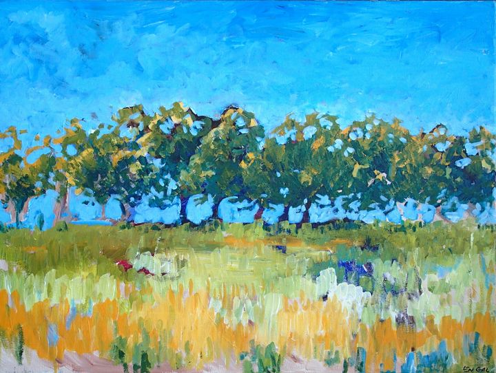 Texas Oak Motte - Junco Gallery - Paintings & Prints, Landscapes ...