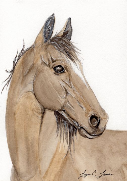 Ol' Buckskin - LC Visual Arts - Paintings & Prints, Animals, Birds ...