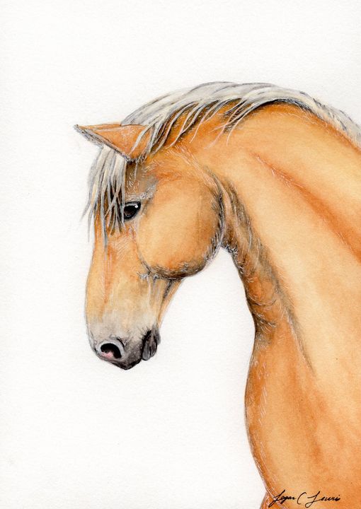 Belgian Horse - LC Visual Arts - Paintings & Prints, Animals, Birds ...