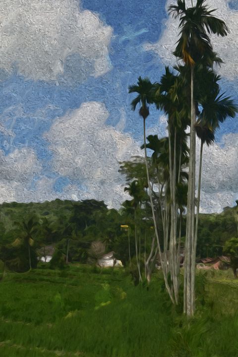 Rice Field with Coconut Trees - AHAD Art - Digital Art & AI, Landscapes ...
