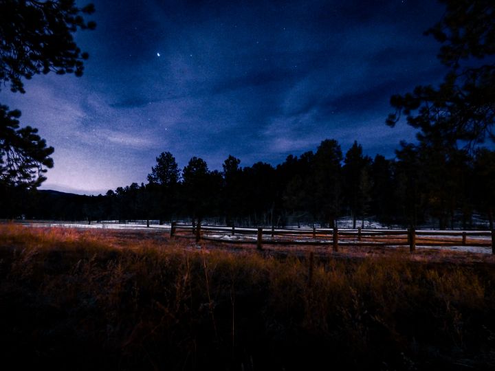 Starry field - Sophia Johnson - Photography, Landscapes & Nature ...