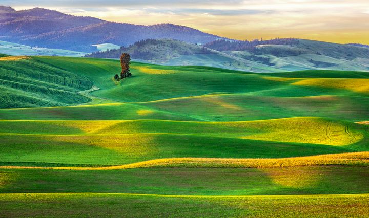 Still Standing - Dennis Sabo Photography - Photography, Landscapes ...