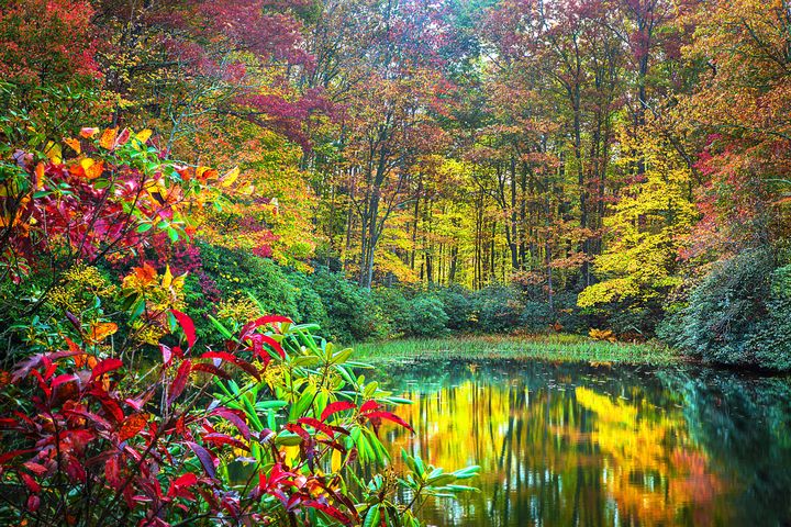 Serenity - Dennis Sabo Photography - Photography, Landscapes & Nature ...