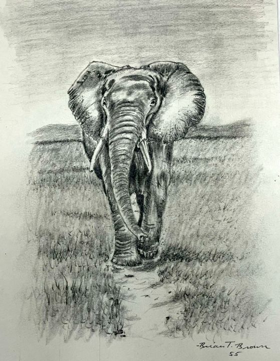 African Elephant 2 - Brian T Brown Art - Drawings & Illustration ...