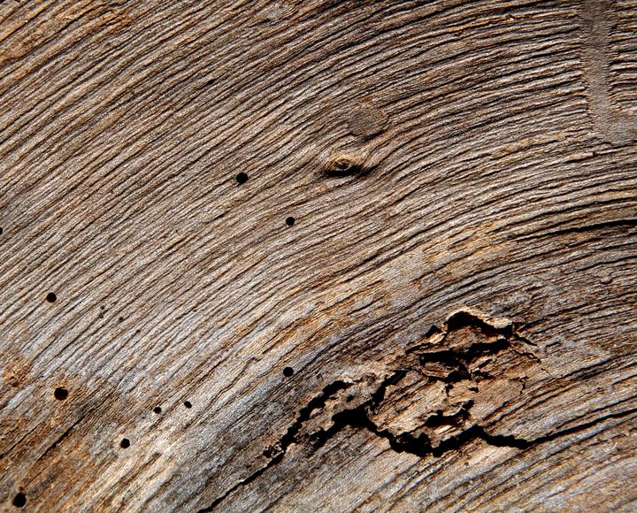 curved lines - fine art / nature photography - Photography, Abstract ...