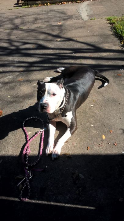 Shuggie D. Monsta - Quinn Verre Artistry Custom Art and Framing ...