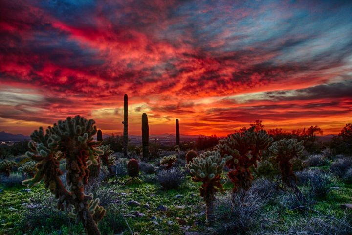 Day Turns into Night - Rob Lopez Photography - Photography, Landscapes ...
