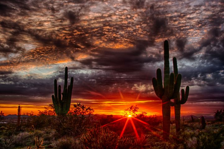 On Its Way to Bed - Rob Lopez Photography - Photography, Landscapes ...