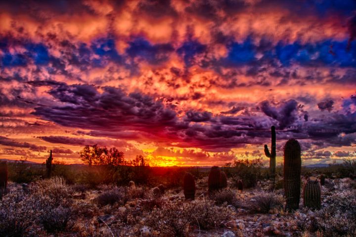 You Make Me Glow - Rob Lopez Photography - Photography, Landscapes ...