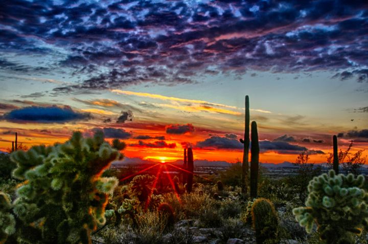 Lone Star - Rob Lopez Photography - Photography, Landscapes & Nature ...