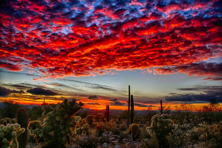 Make My Day - Rob Lopez Photography - Photography, Landscapes & Nature ...