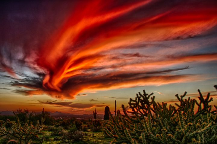 Dreadlocks Sunset - Rob Lopez Photography - Photography, Landscapes ...