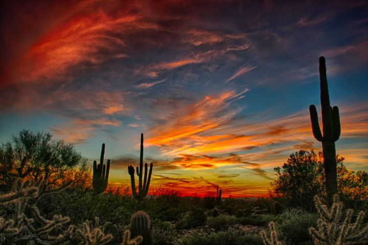 A Splash of Color - Rob Lopez Photography - Photography, Landscapes ...